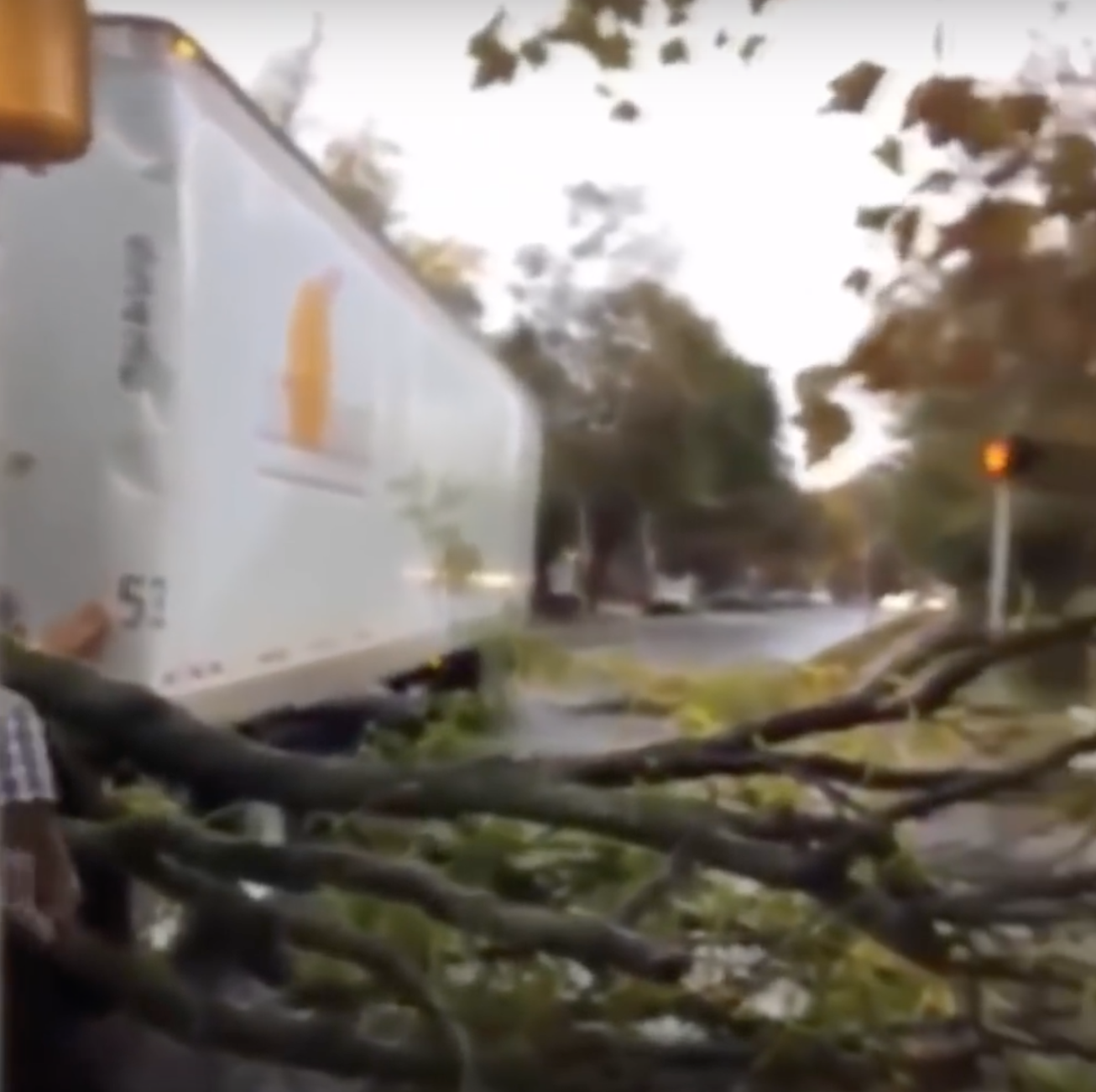 VIDEO: Semi truck stuck and broke a huge tree