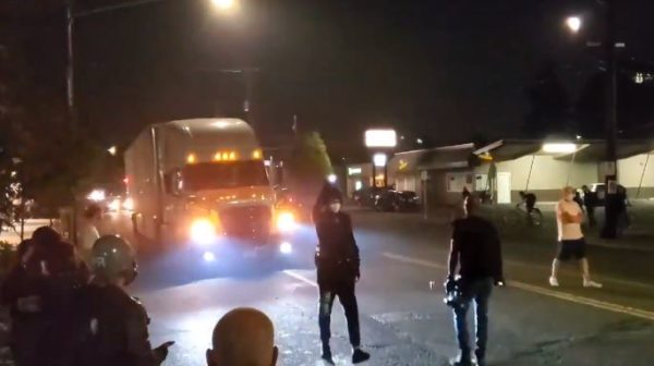 Drivers who injure highway protesters while fleeing for safety would be ...