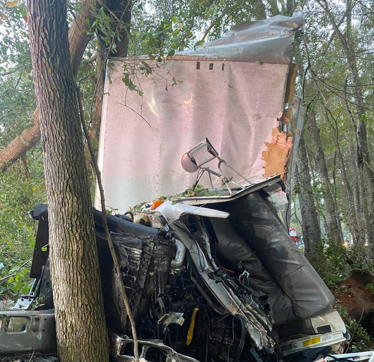 Truck driver transported to ‘major trauma’ center after crashing into tree