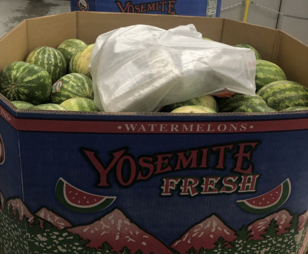 Canadian trucker accused of smuggling 69 pounds of cocaine in her load ...