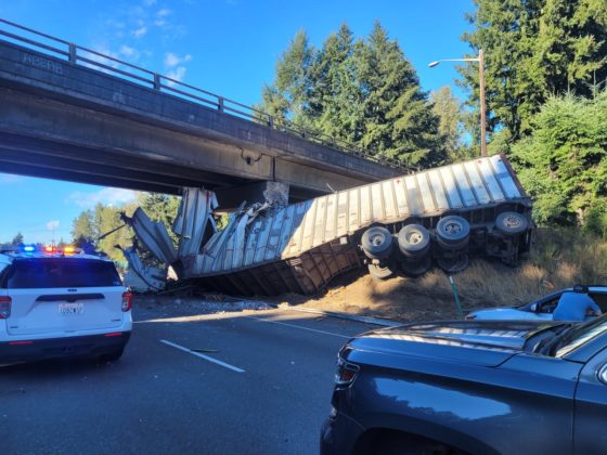 Trucker killed in twisted crash with bridge columns