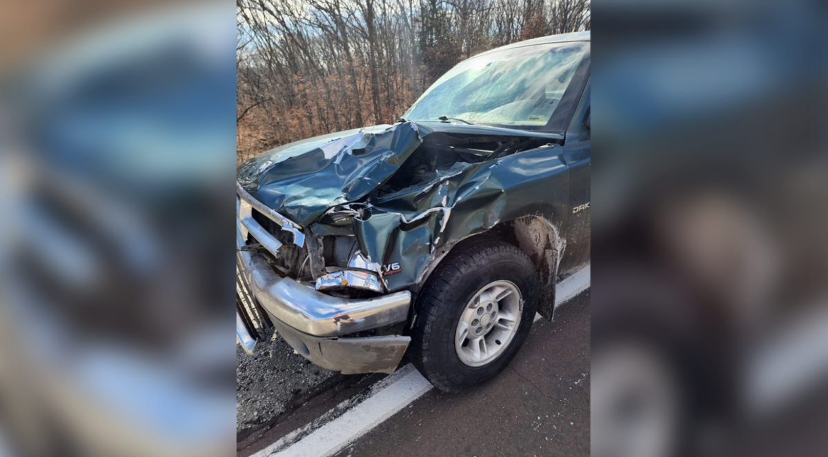 Deer goes clear through truck cab after being flung into air by pickup