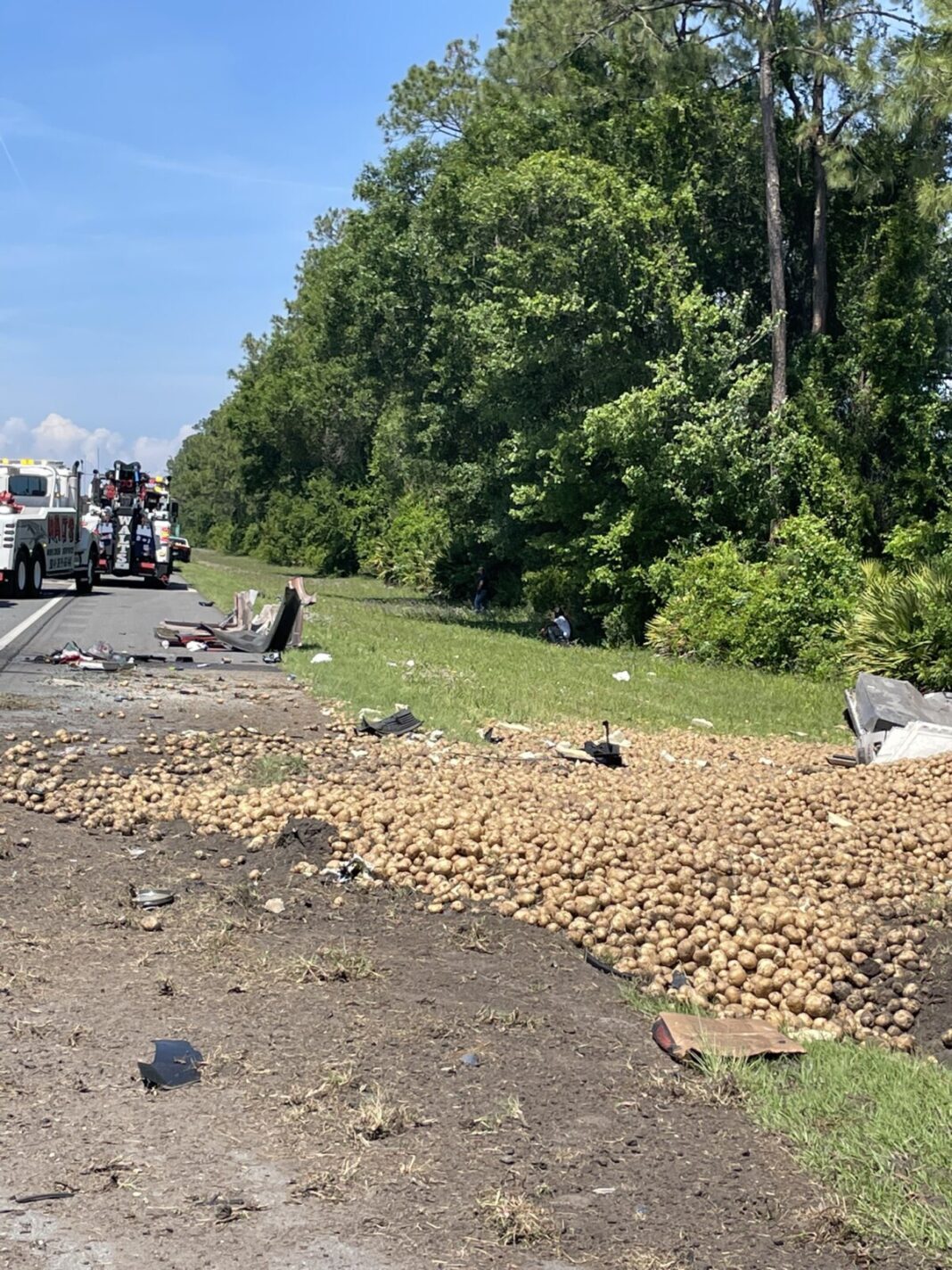 Multi-vehicle crash leaves Florida's I-95 blanketed in spuds