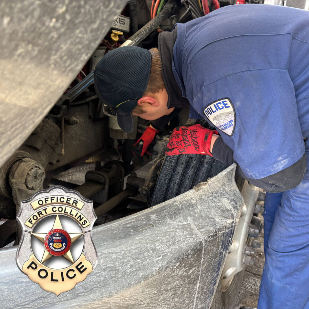 Multi-agency CMV inspection blitz in Colorado nets 137 citations in ...