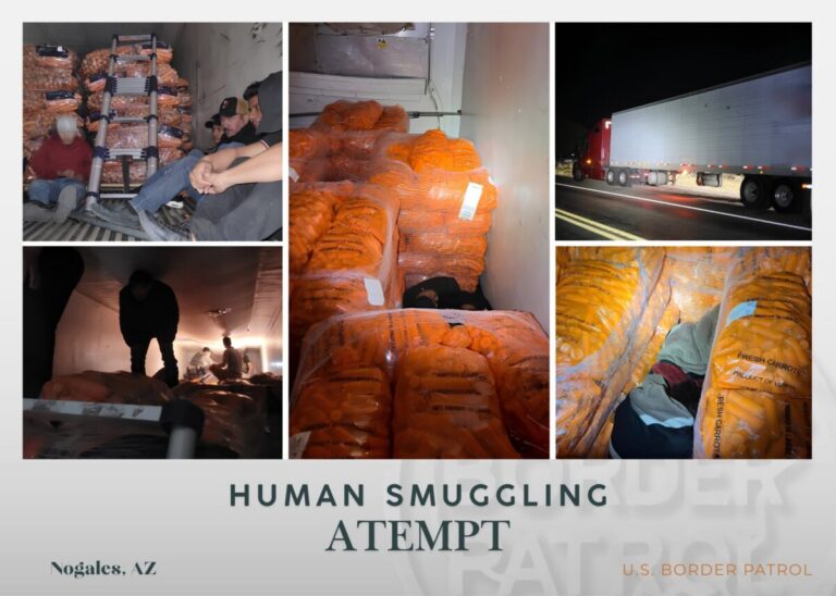 Mexican truck driver hauling 11 people in load of carrots charged for ...